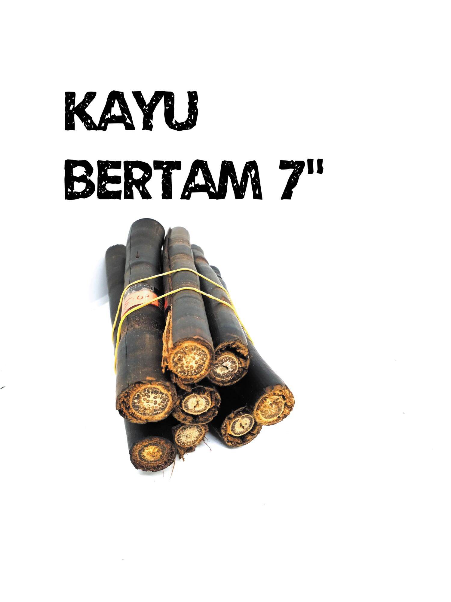 Kayu Bertam Sulur Bertam Hutan Batang Kayu Hutan | Lazada