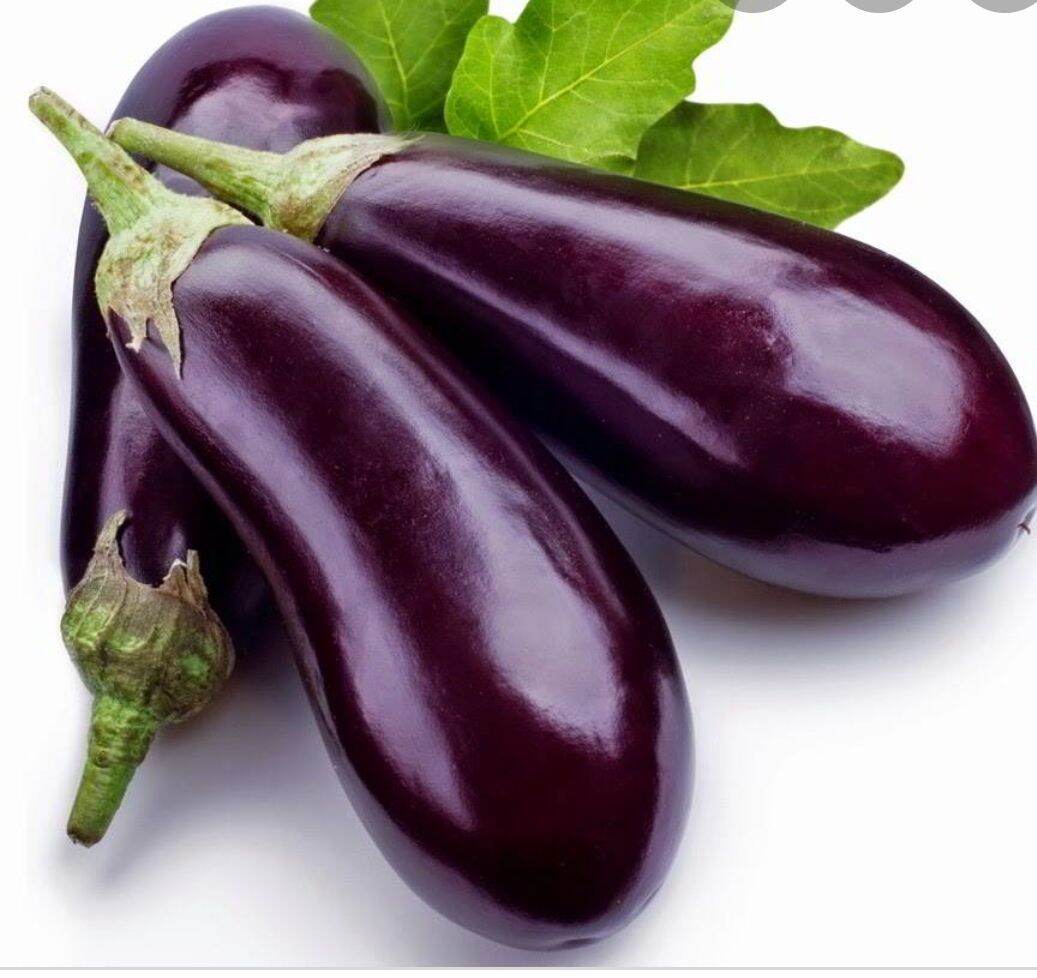 Terung Purple | Lazada