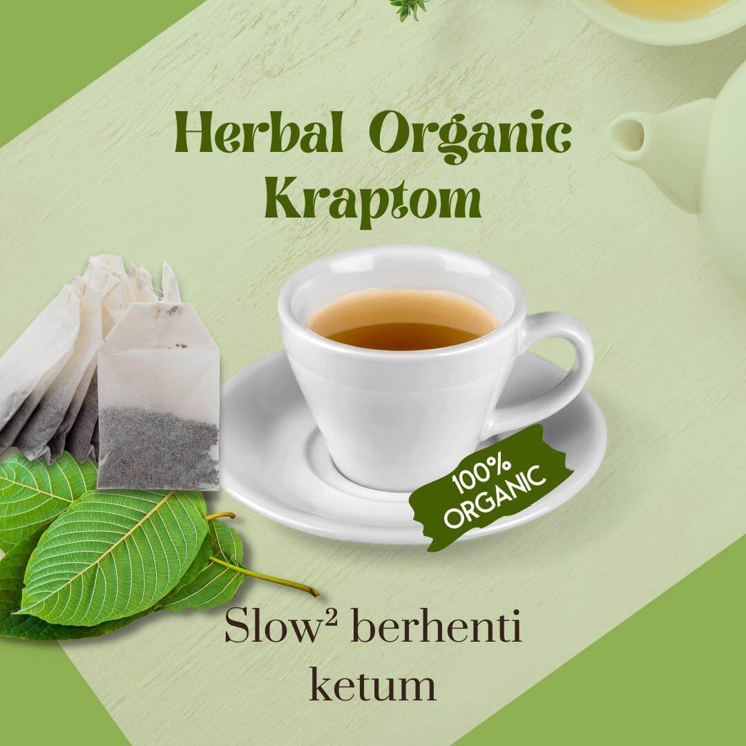Shop online with Berhenti ketum now! Visit Berhenti ketum on Lazada.