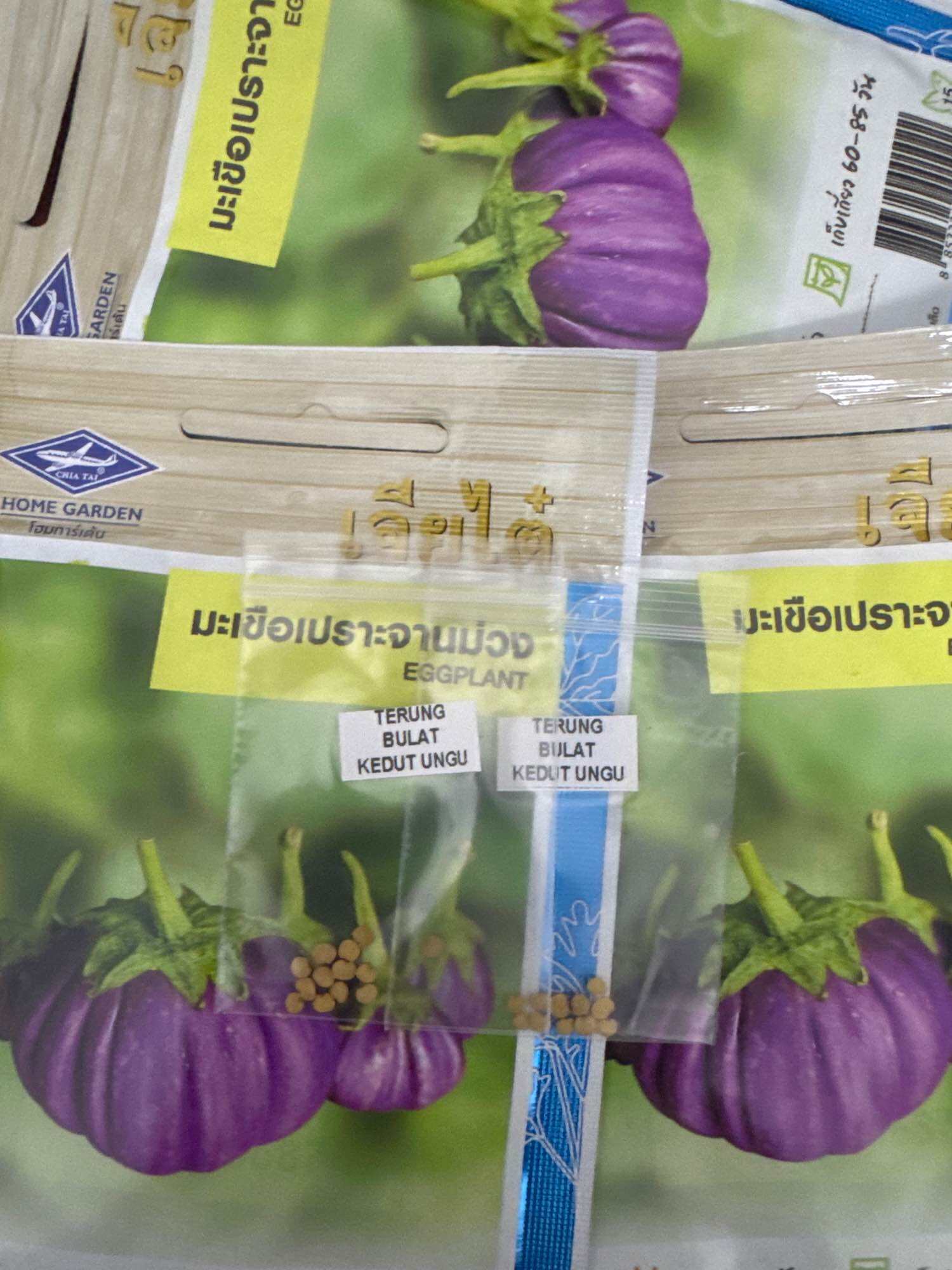 10-20 biji benih TERUNG BULAT HIJAU / UNGU / OREN asam/ PUTIH Ulam ...