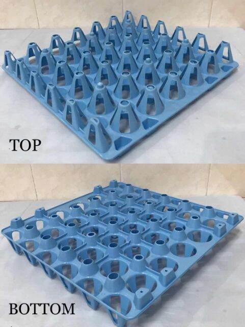 🐥Container Plastic Egg Trays. Plastic Egg Trays containers | Lazada