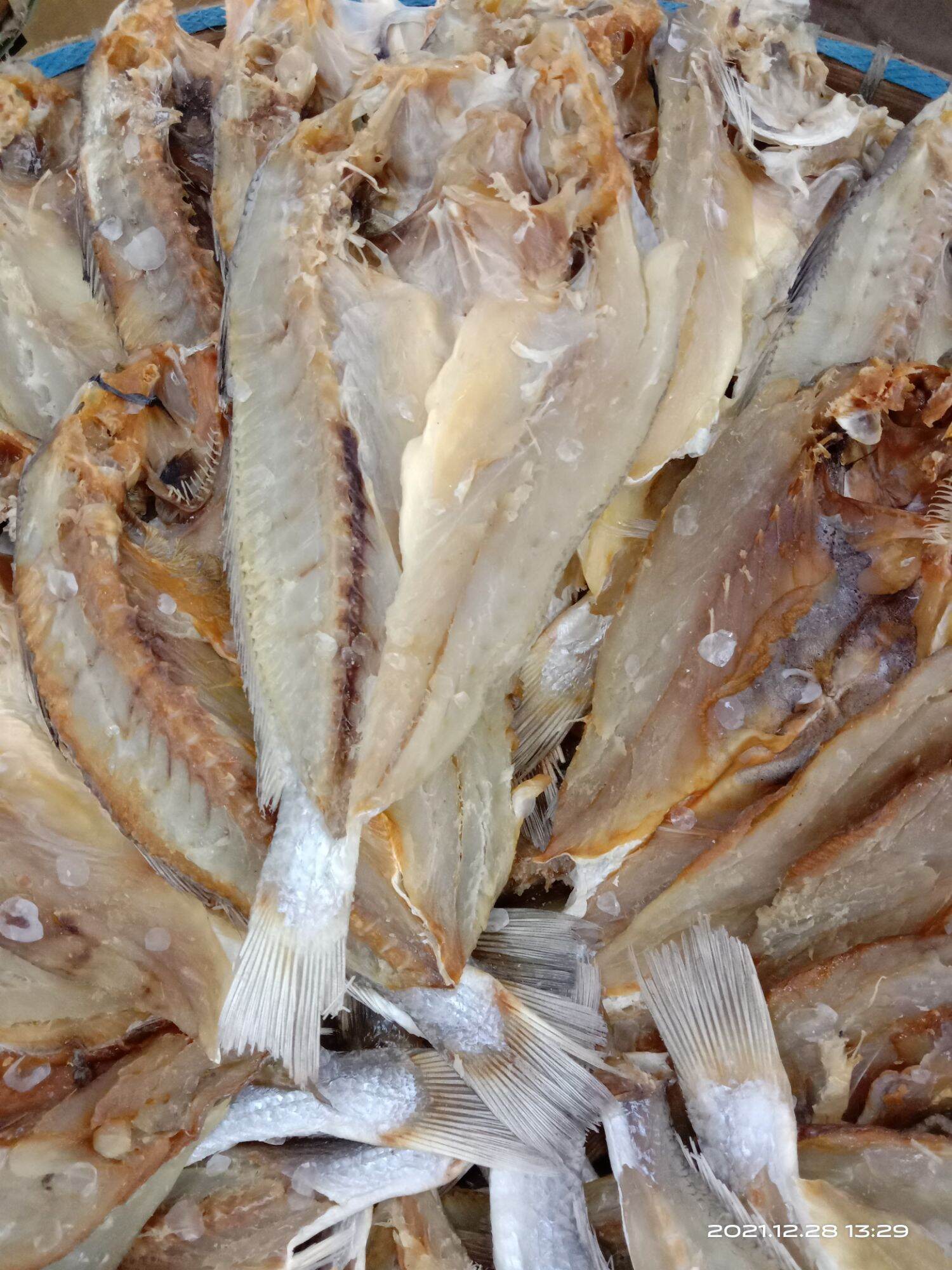 IKAN MASIN GELAMA BELAH IKAN KERING GELAMA BELAH 500gm | Lazada