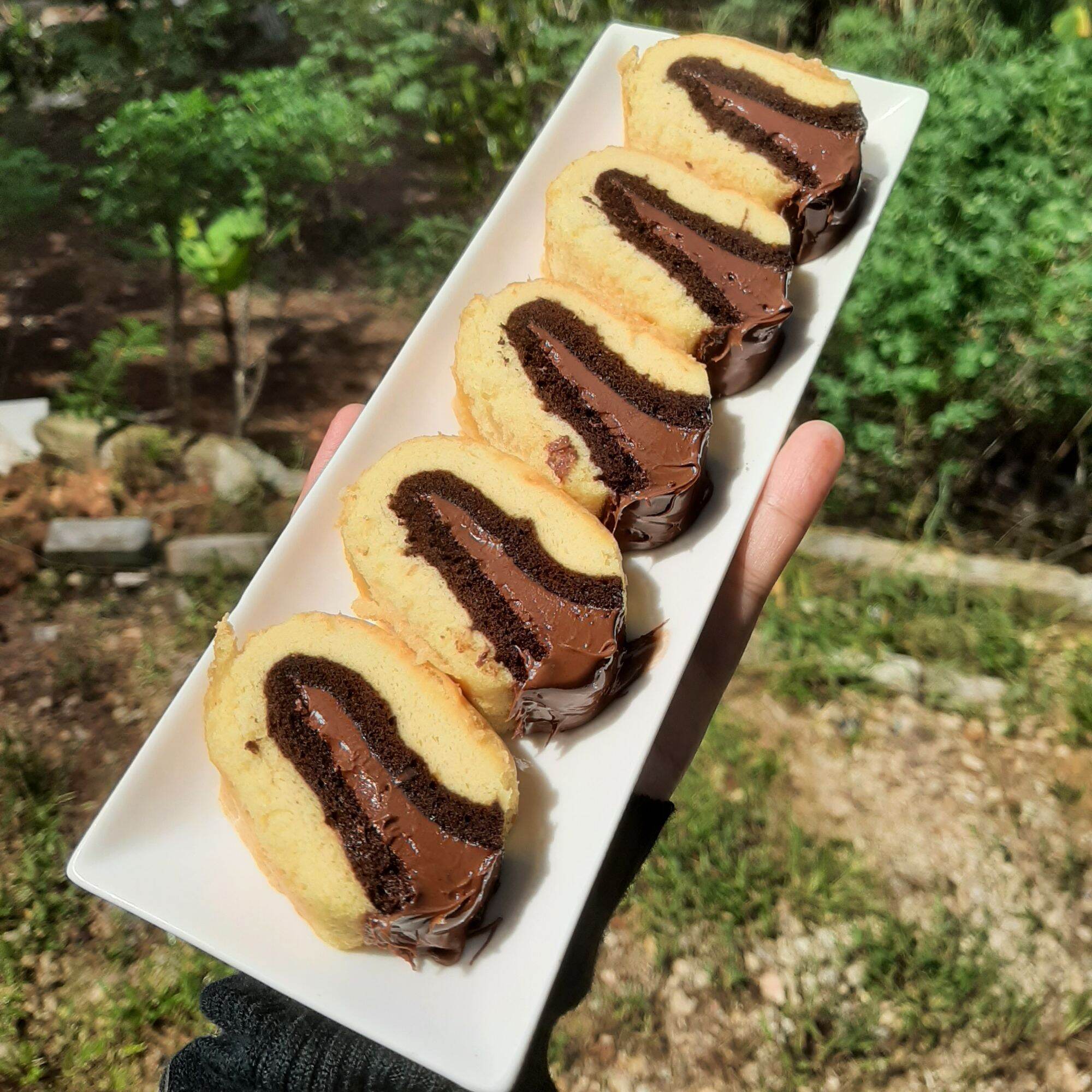 TAPAK KUDA ORIGINAL BRUNEI 10INCI | Lazada