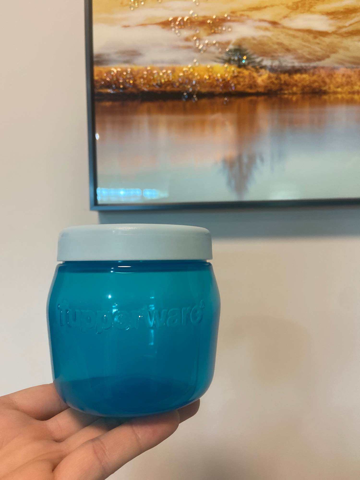 Tupperware mini universal jar (1) 325ml | Lazada