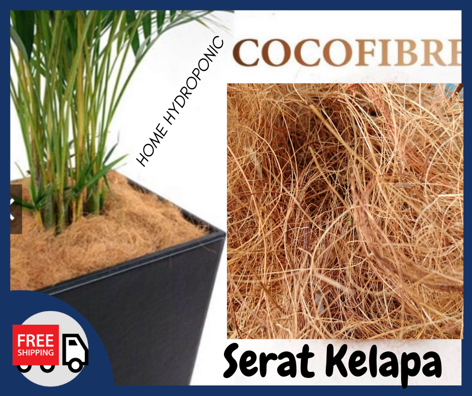 SERAT KELAPA / COCO FIBER / SABUT KELAPA UNTUK HIASAN PASU | Lazada