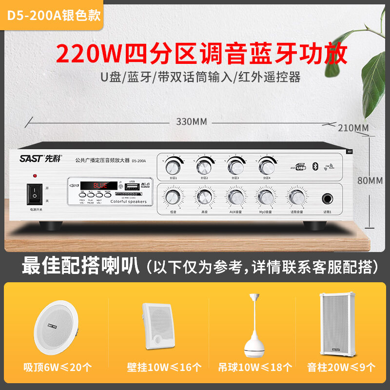 SAST/SAST D5-200 Power Amplifier Home Audio High-Power Professional ...