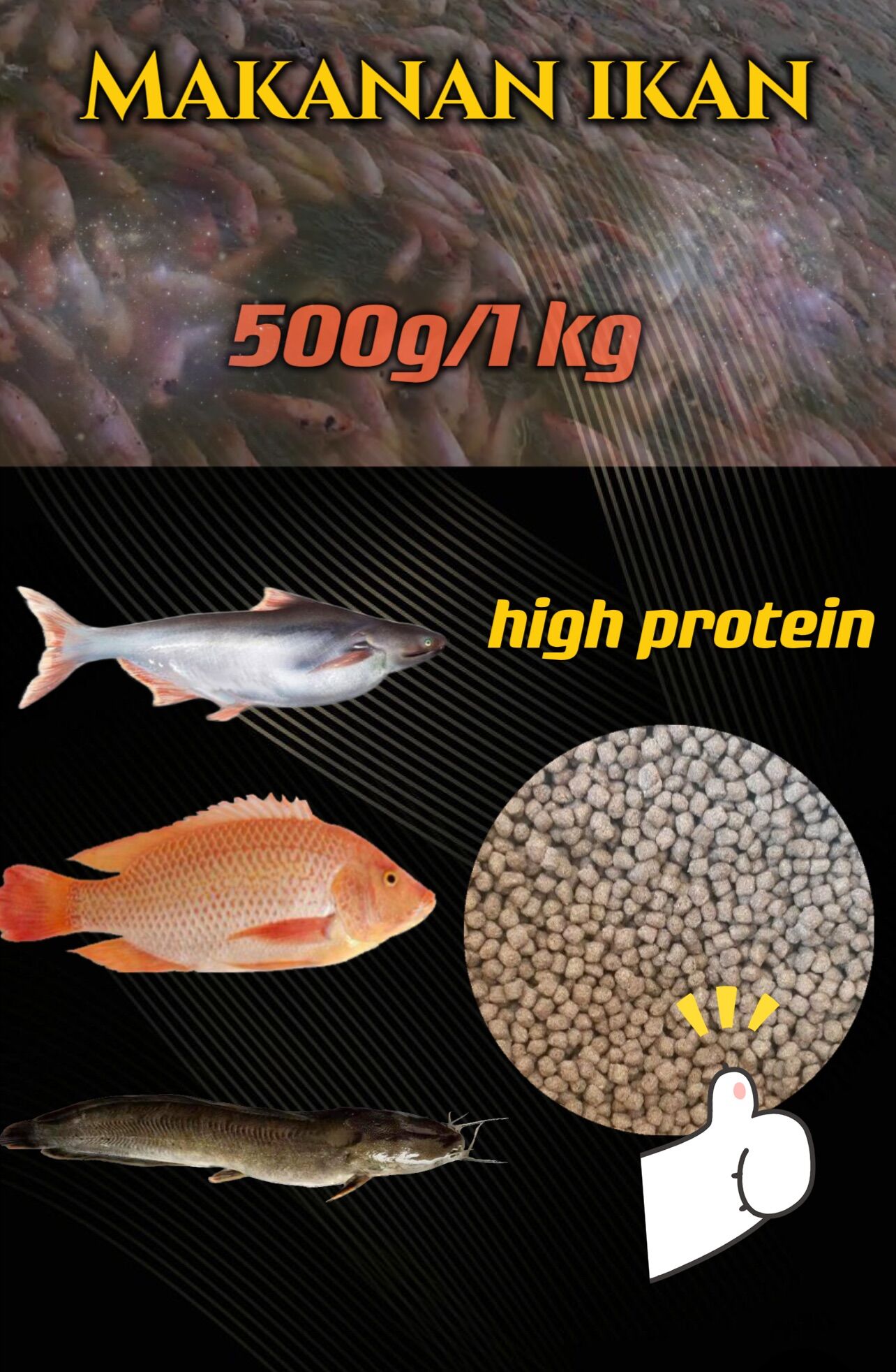 pallet ikan/Fish food/Makananikan /Makanan.pancing 谈水饲料 | Lazada
