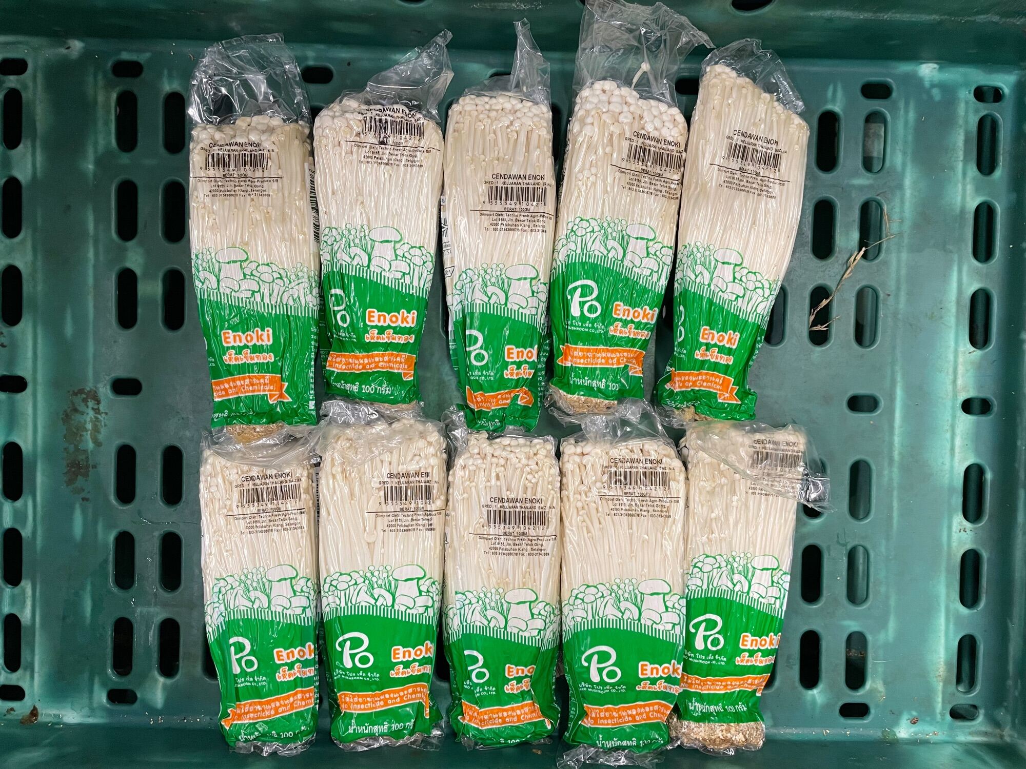 IPOH VEGE - ENOKI MUSHROOM 100gm x 10 packs ( total is 1kg ) - L18 | Lazada