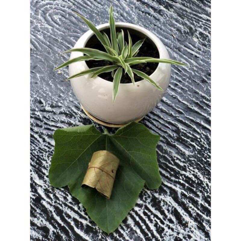 Borneo food *KODOROI/DAUN GAMBIR* Muslim homemade Set tinggats | Lazada
