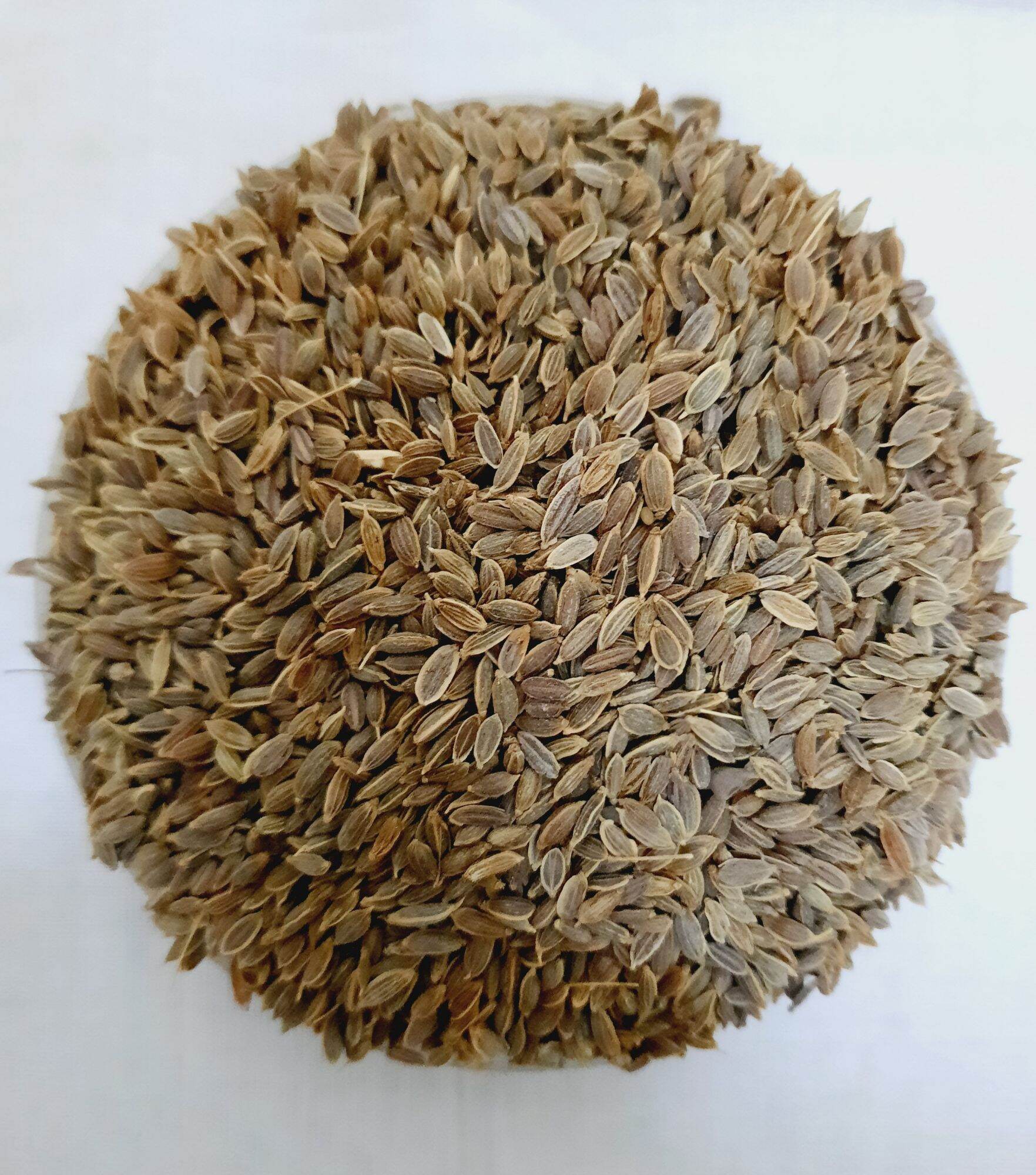 Satakuppai / Dill Seeds / Adas Pedas 100G | Lazada