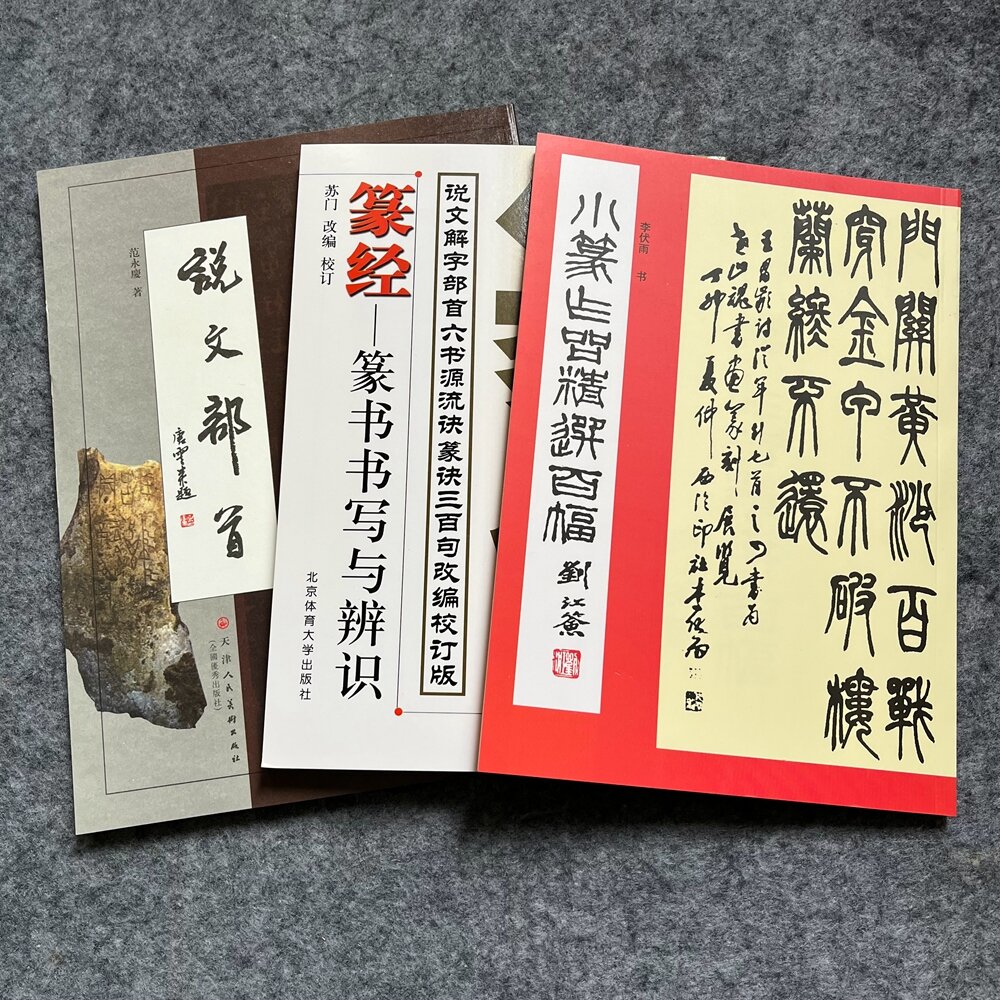 Beginner's Guide to Seal Script Calligraphy Practice Book with Writing ...