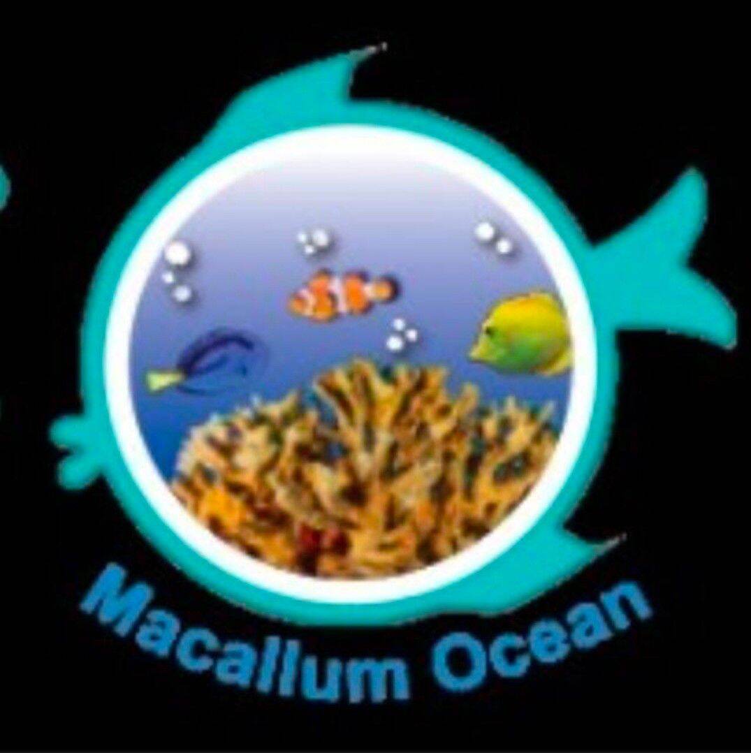 Shop online with Macallum Ocean now! Visit Macallum Ocean on Lazada.