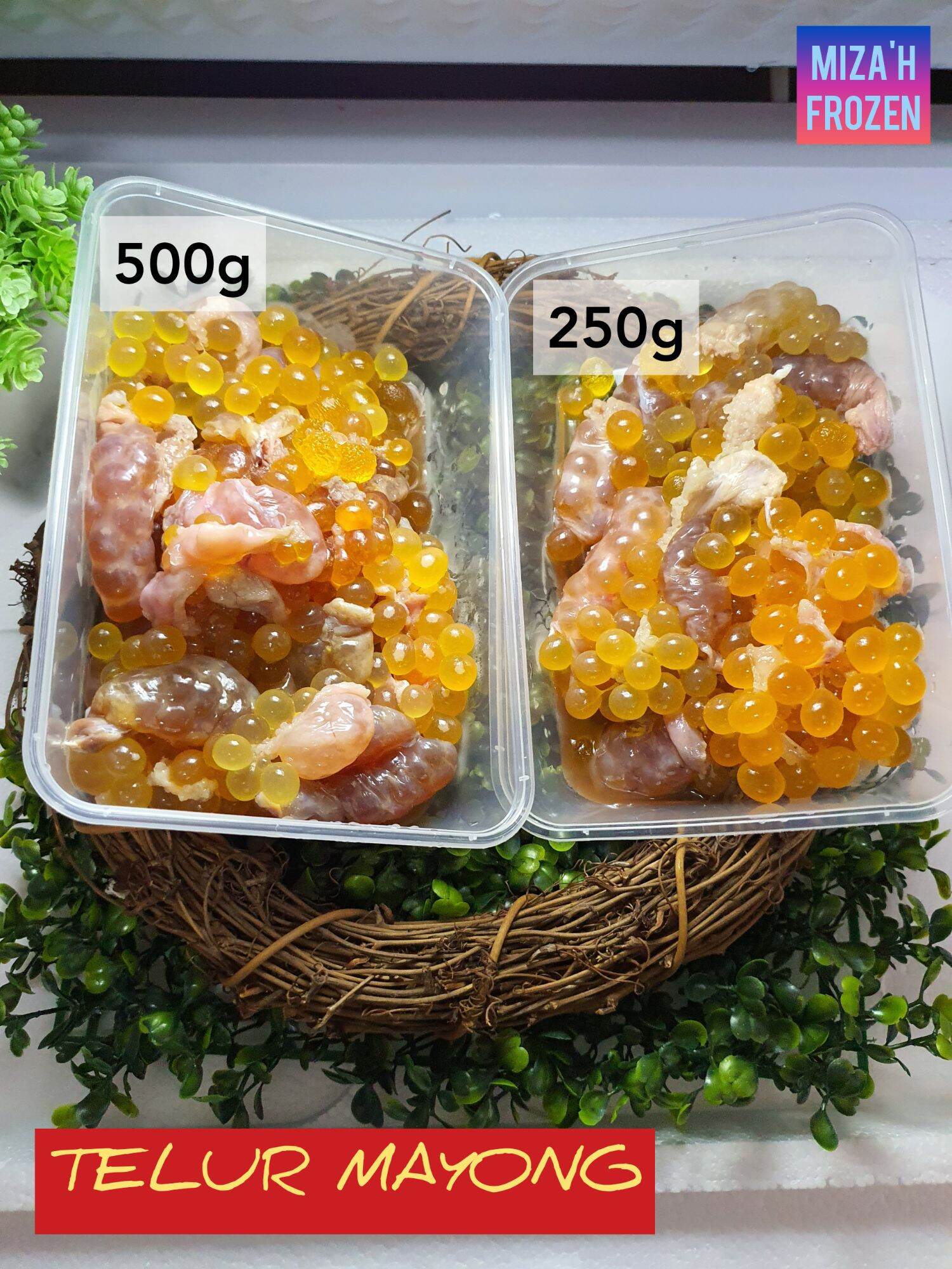 TELUR IKAN MAYONG | Lazada