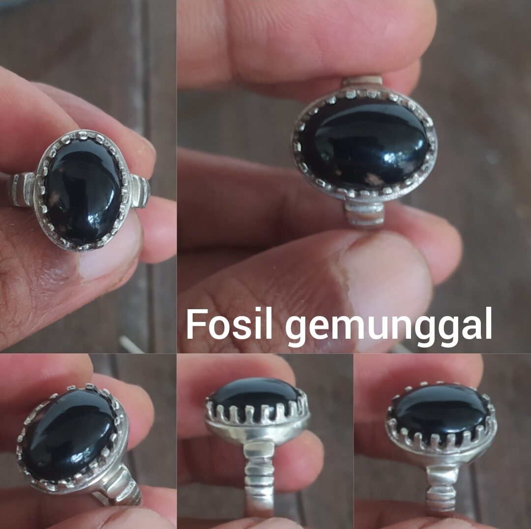 cincin fosil gemunggal | Lazada