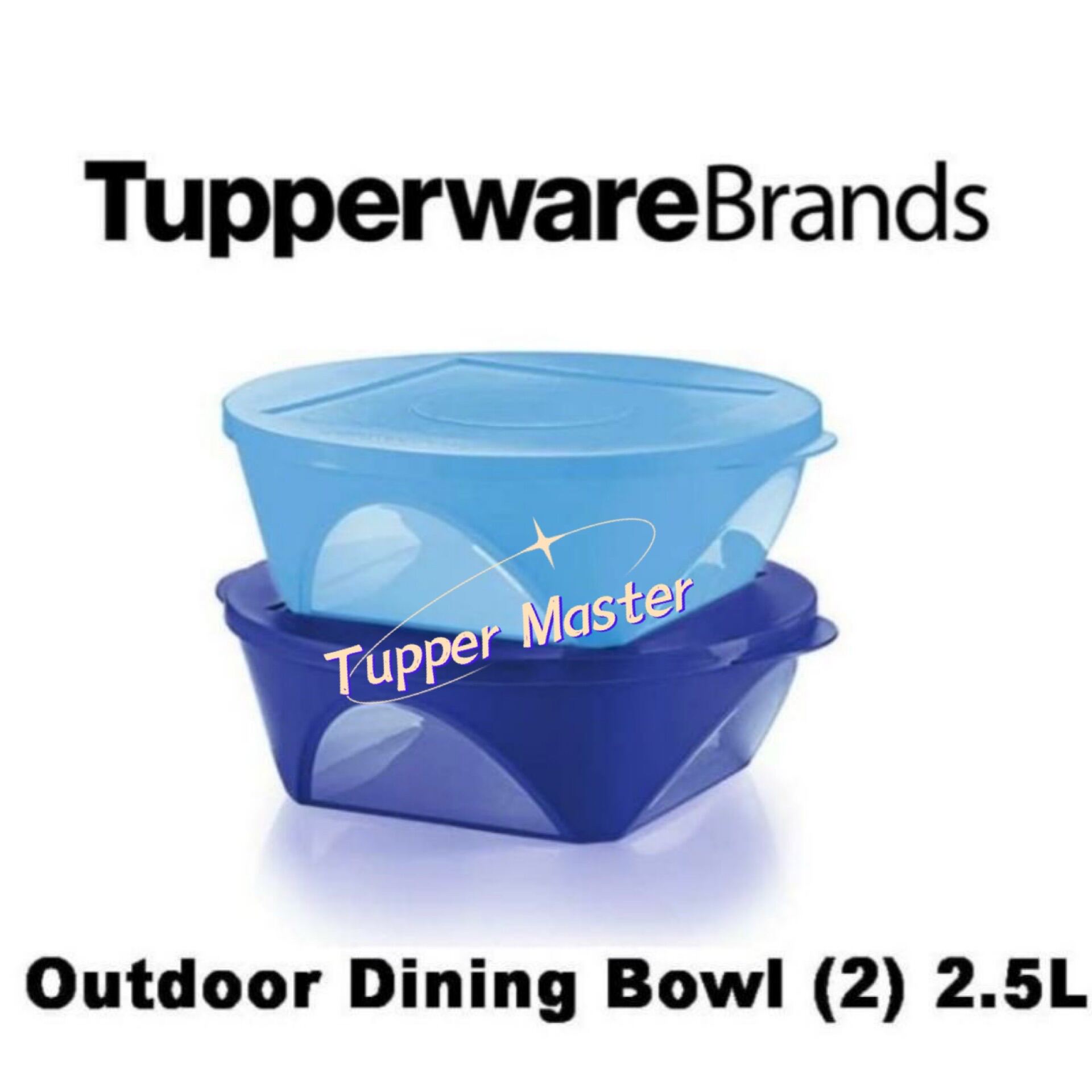 Tupper@ware Outdoor Dining Bowl (2pcs) 2.5L | Lazada