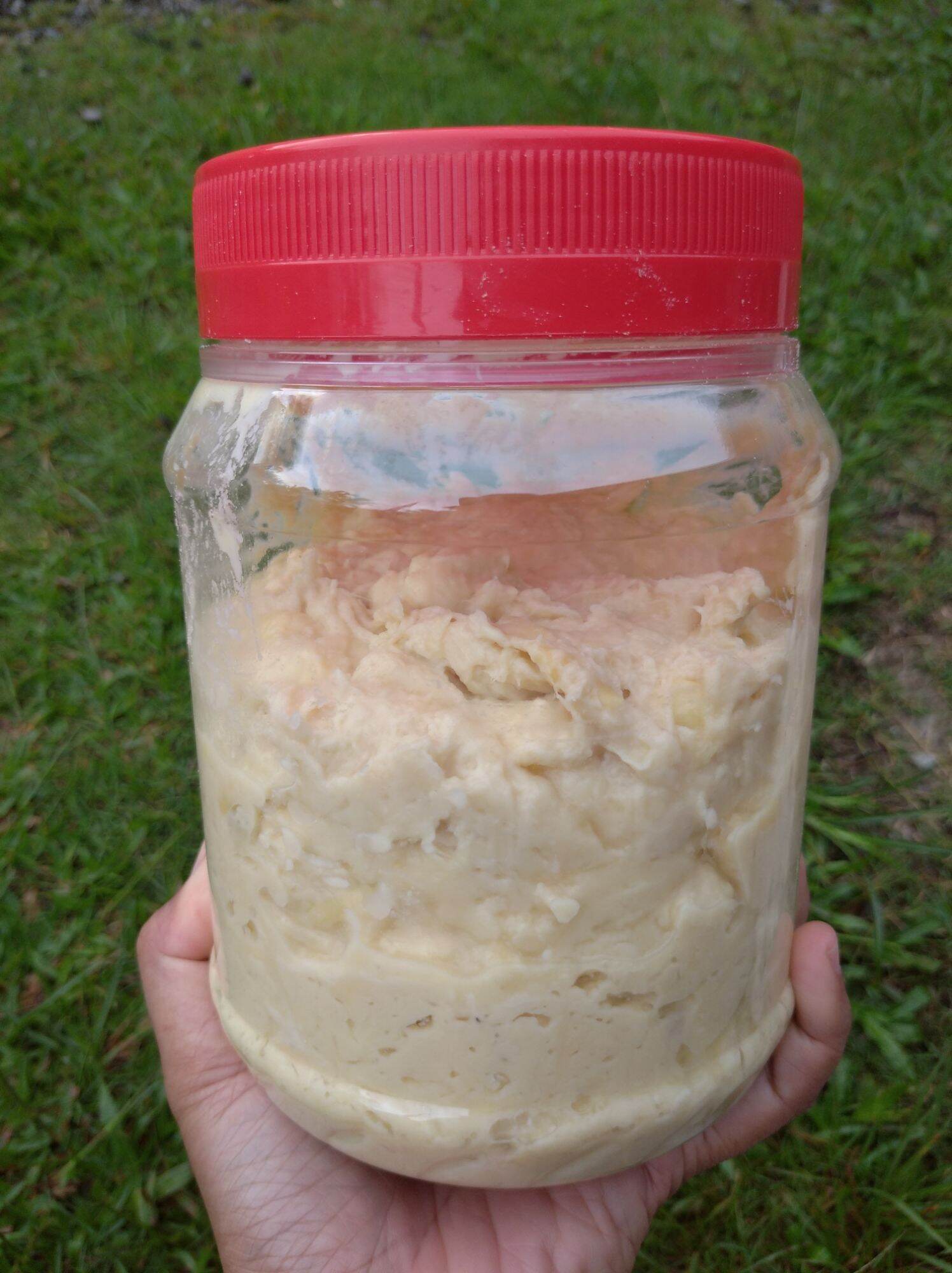 TEMPOYAK/fermented durian-1kg (100%isi durian) Masam manis | Lazada