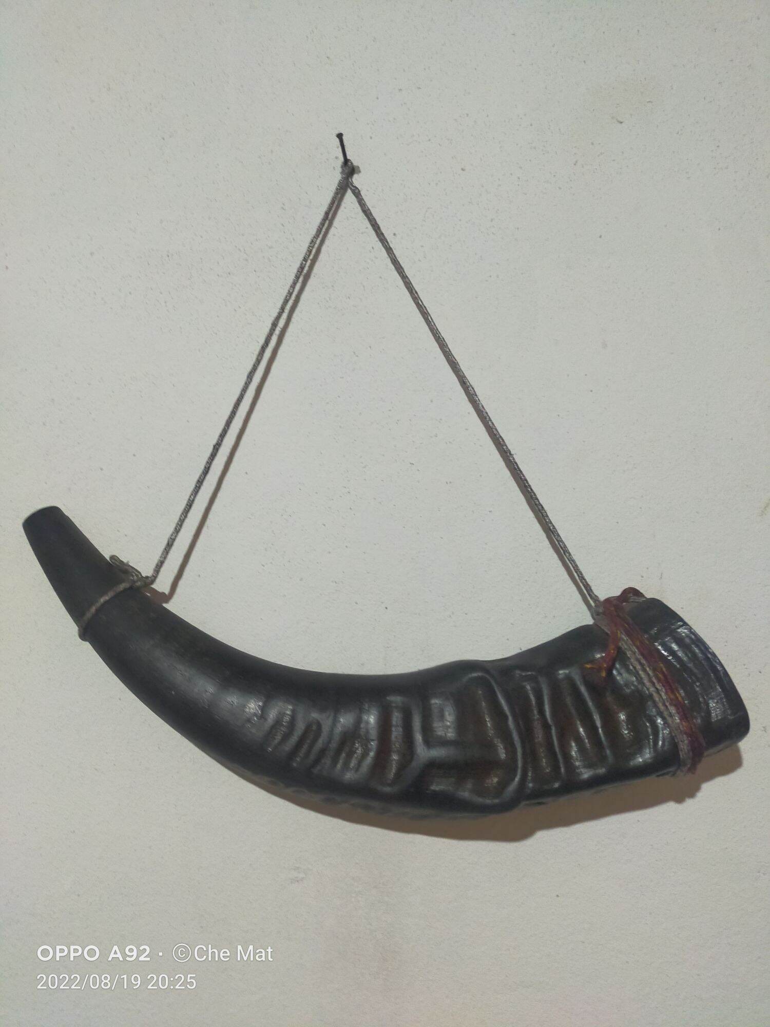 Tetuang Tanduk Kerbau / Tuang / Semboyan Perang / Trompet Traditional ...