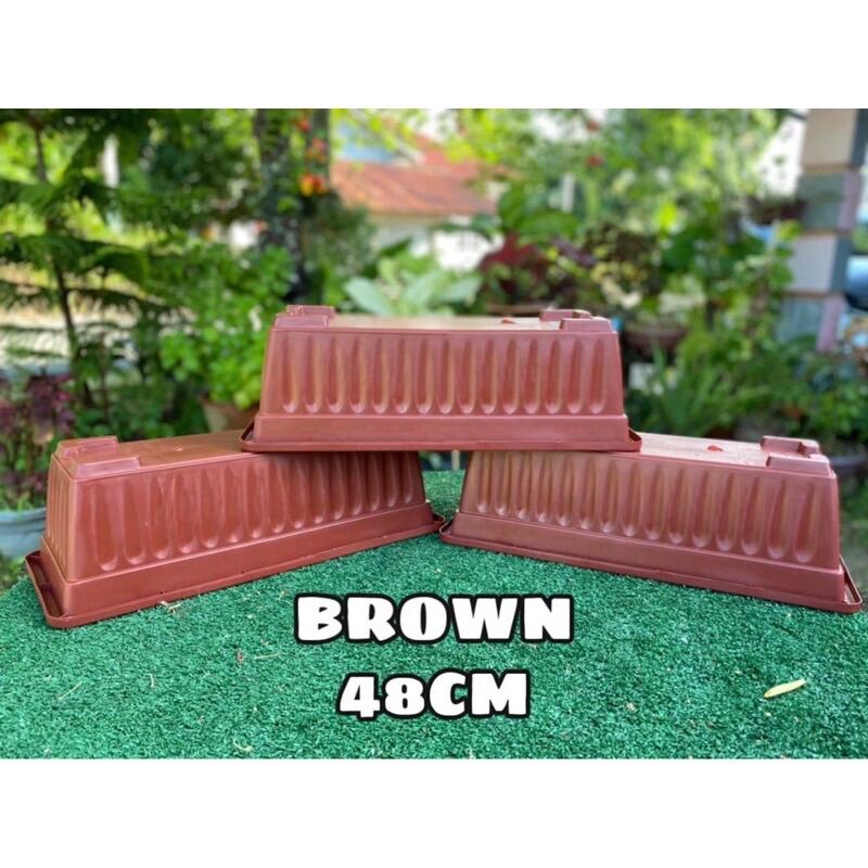 PASU BUNGA PANJANG TEBAL READY STOCK / TANAM SAYUR / TANAM POKOK BUNGA ...