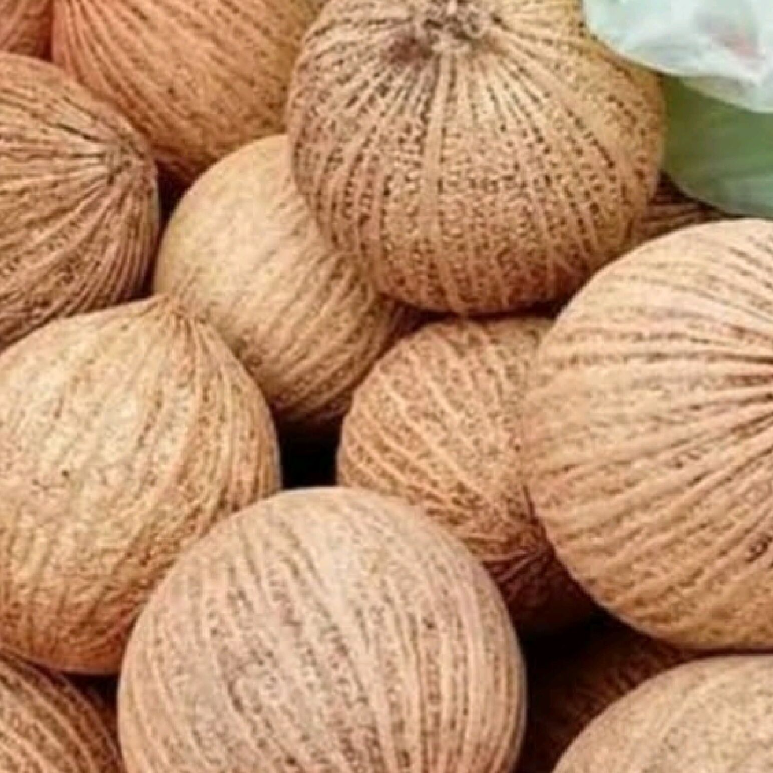 Buah kulim fresh murah 1kg RM7.50 shj segar baru organik terjamin asli ...