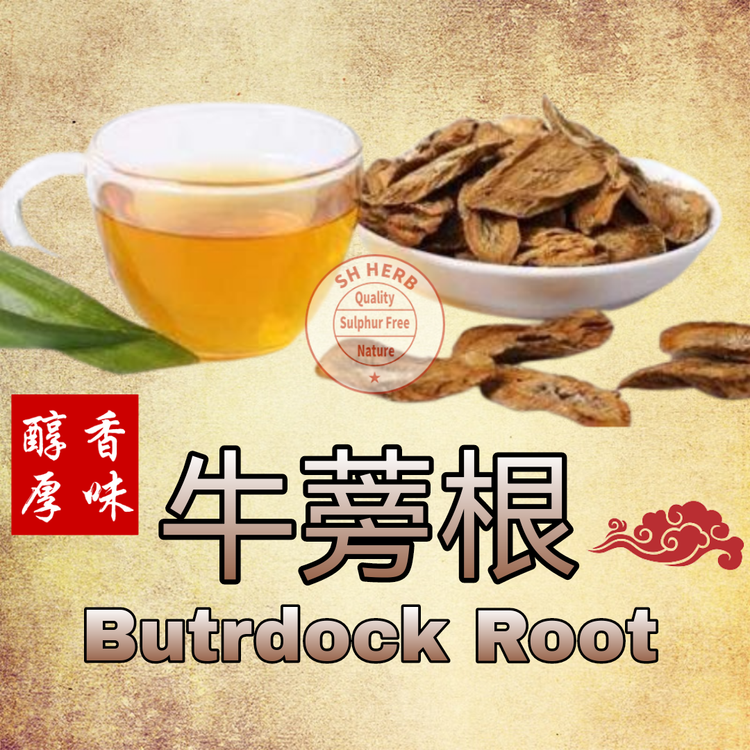 牛蒡根 Burdock Root Niu Bang Gen 100G | Lazada
