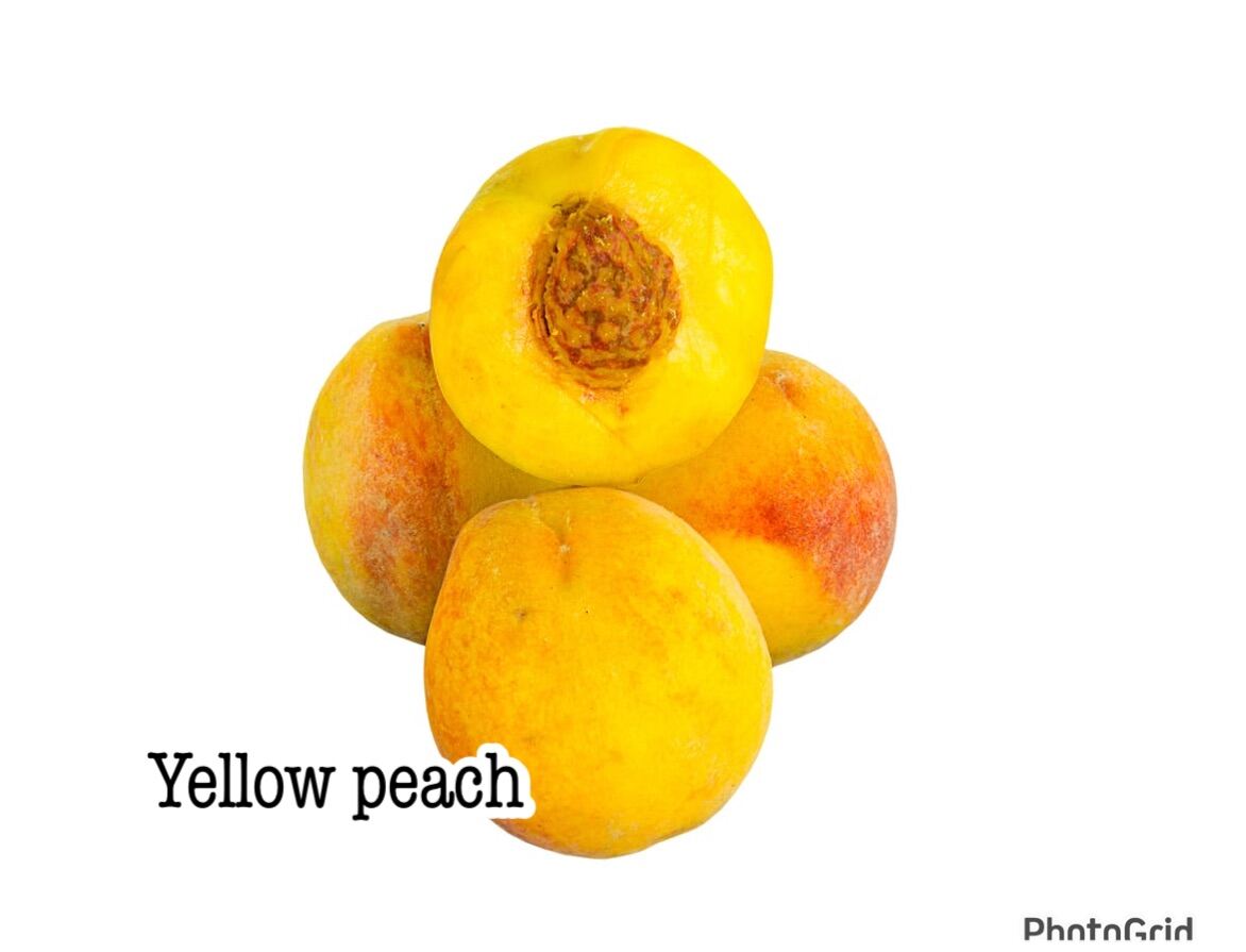 Pokok kahwin peach pelbagai variety | Lazada