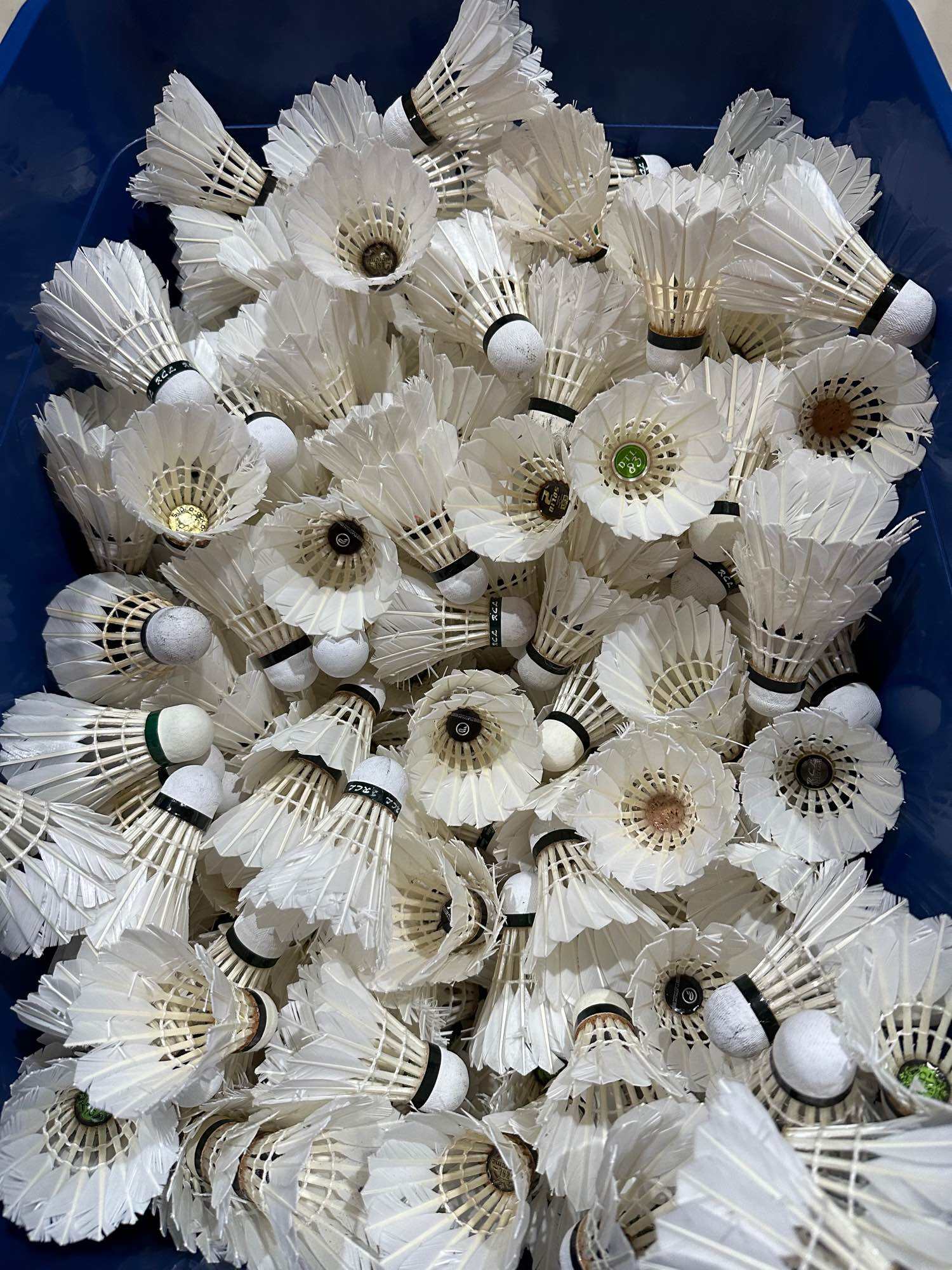 Used / Training Shuttlecock 二手训练羽球 Bulu Tangkis Training | Lazada