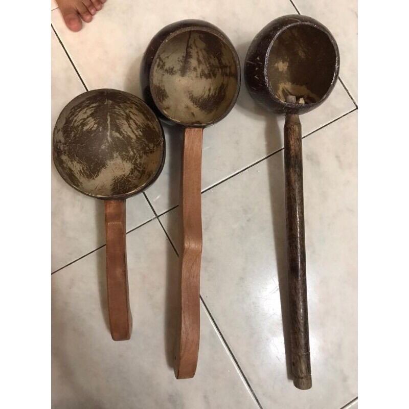 Batok / gayung tempurung | Lazada