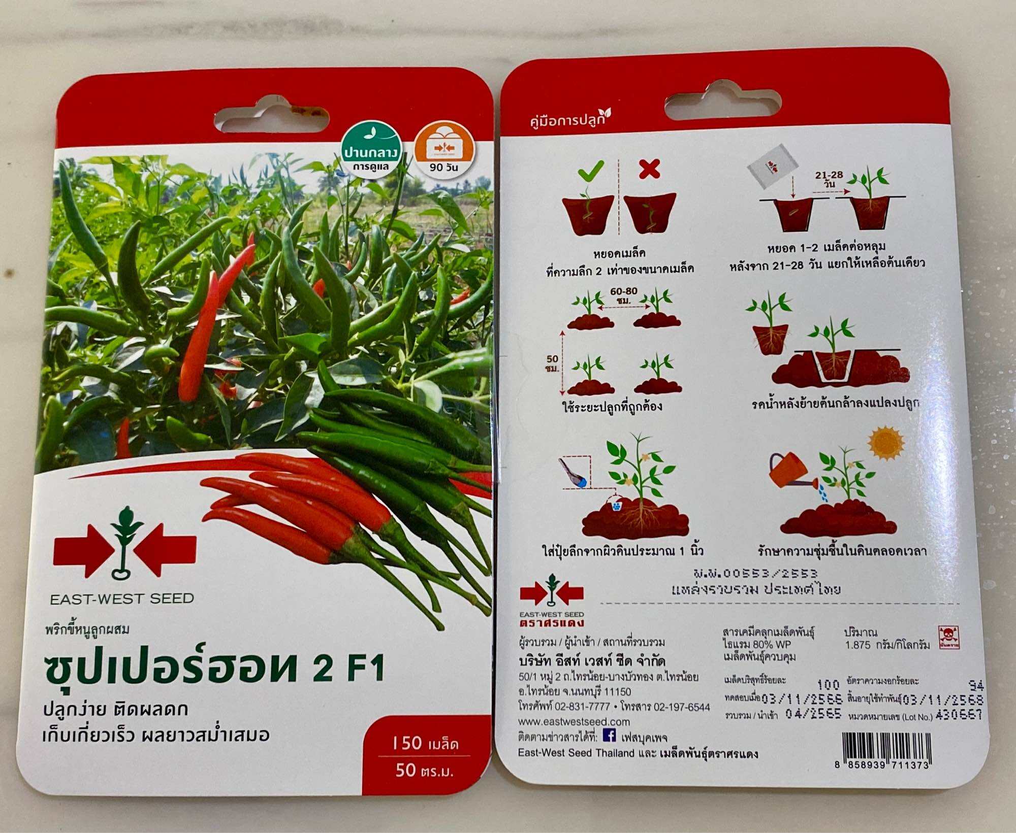 Mini Pack 150 Seeds MICRO HOT F1 Biji Benih Cili Padi Api F1 Hybrid Hot ...