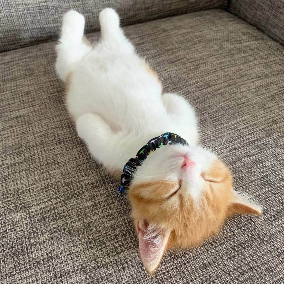 Jd.life.plus Official Store in Malaysia, Online Shop 03 2025