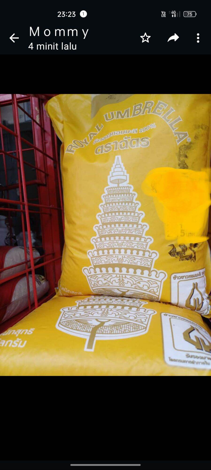 BERAS ROYAL UMBRELLA ORIGINAL THAILAND (KUNING) 5KG. | Lazada