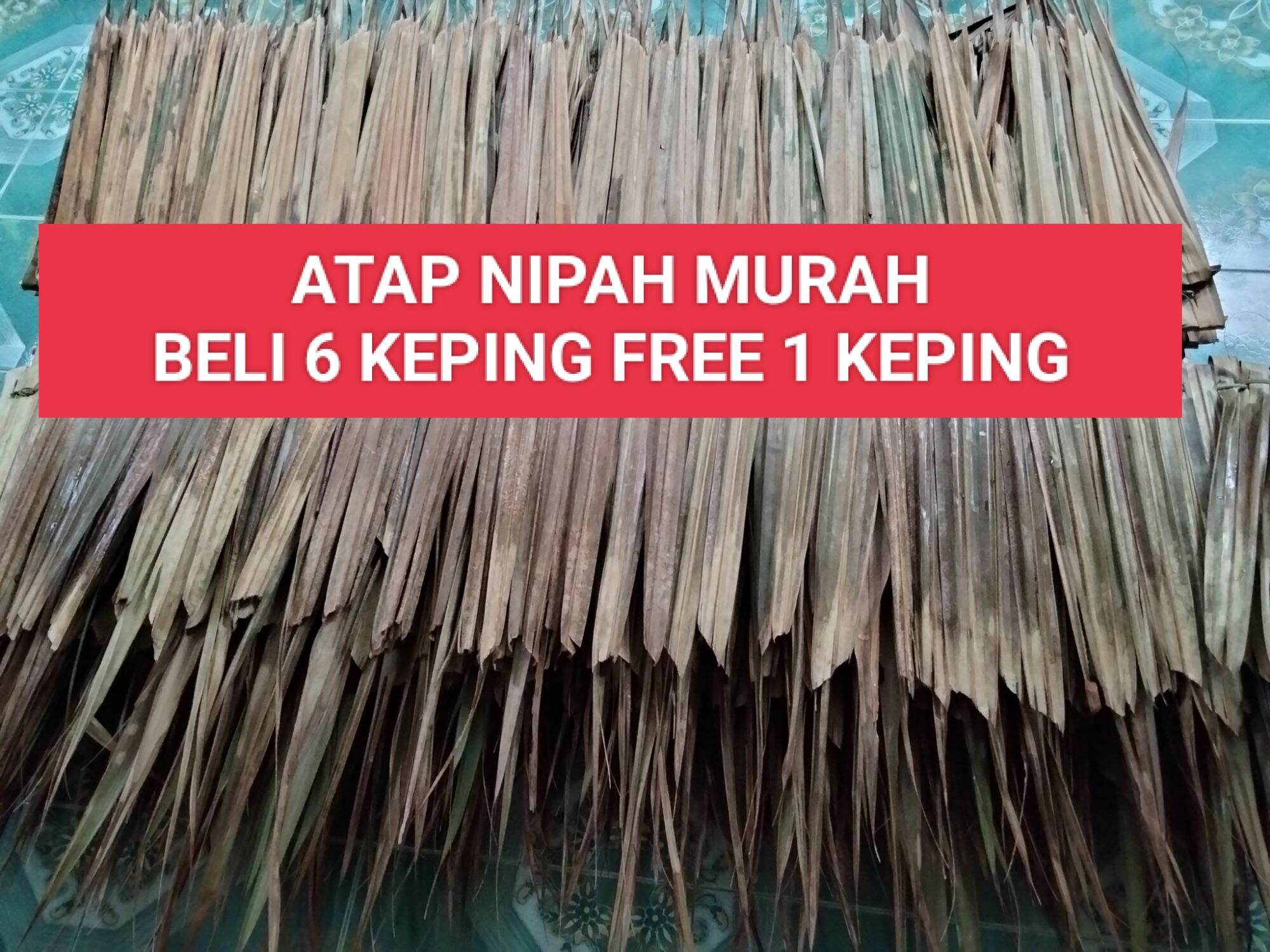 Atap Nipah Nipah Leaf 2024 Harga Untuk 2 Keping Ready Stock Atap Nipah Buatan Orang Kampung