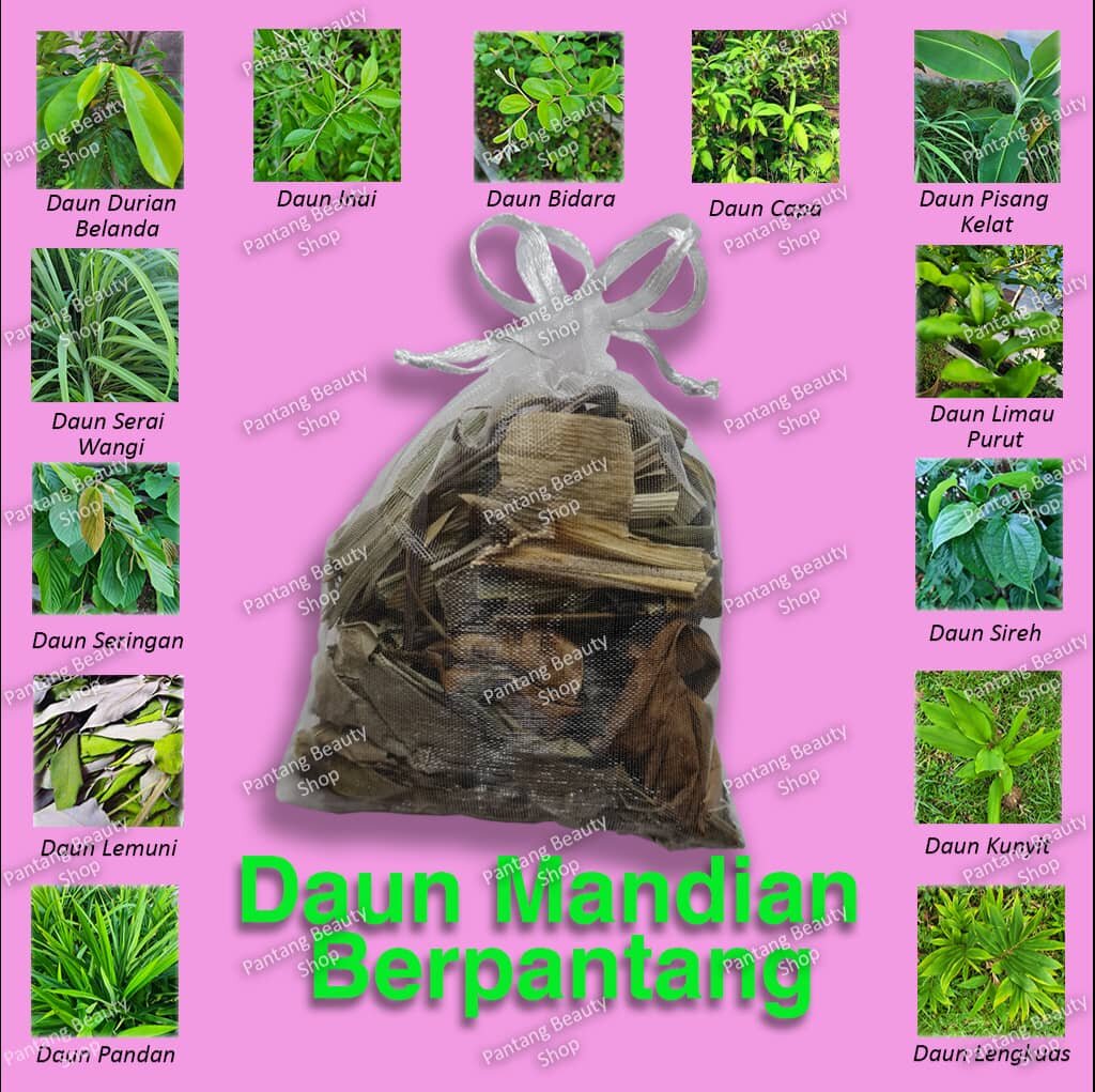 Daun Mandian Berpantang Ready Stock | Lazada
