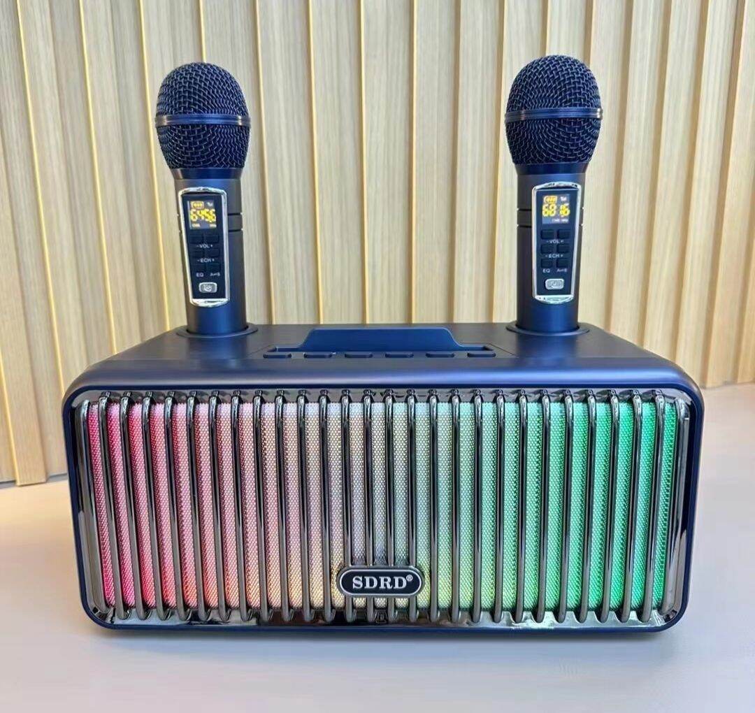 2022 New Modal Family KTV SDRD SD319 Dual 2 Wireless Microphone Portable Bluetooth Speaker ...
