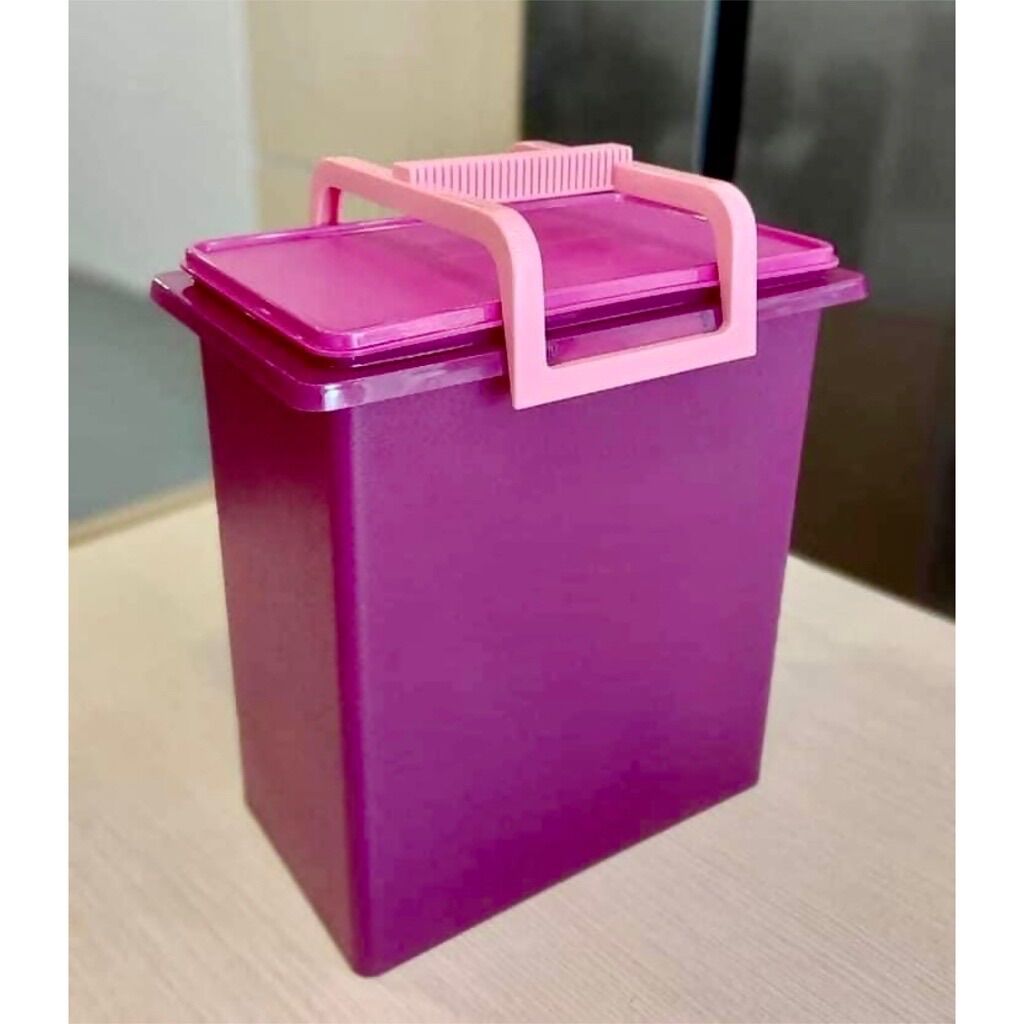 Tupperware Buddy Keeper with Handle (1) 10.0L | Lazada