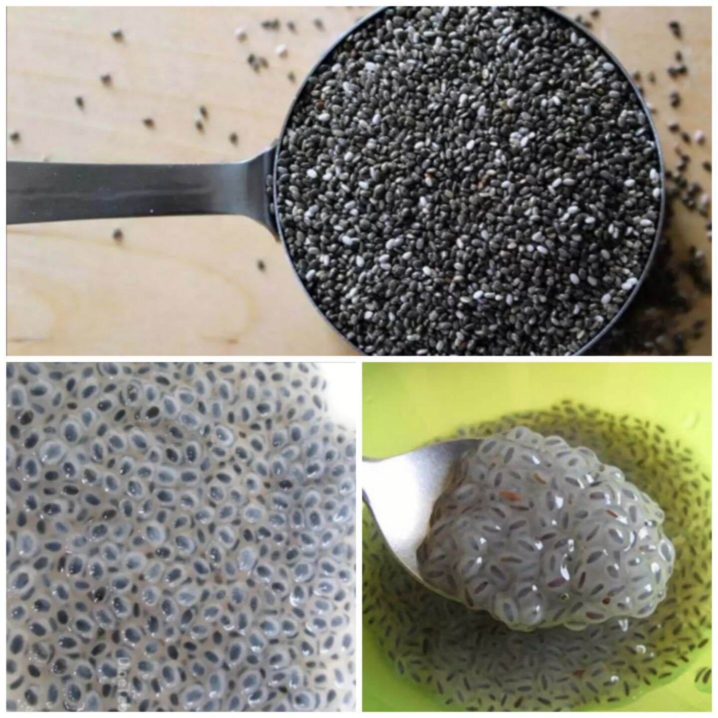 Basil Seeds (Biji Selasih) 250g | Lazada