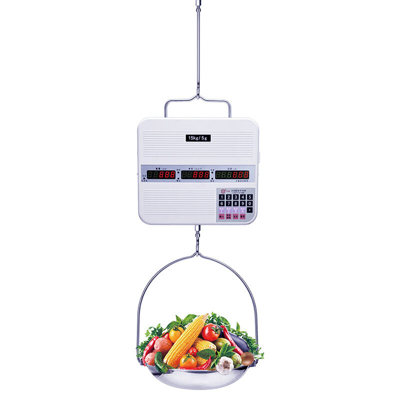 Japan Ishida Scale Hong Kong Catty Scale Ishida Scale Guangdong Hong ...