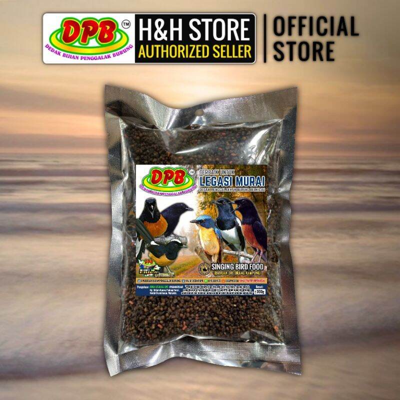 Dedak Penggalak DPB MURAI BATU, CACING/KAMPUNG, BORNEO (White-rumped ...