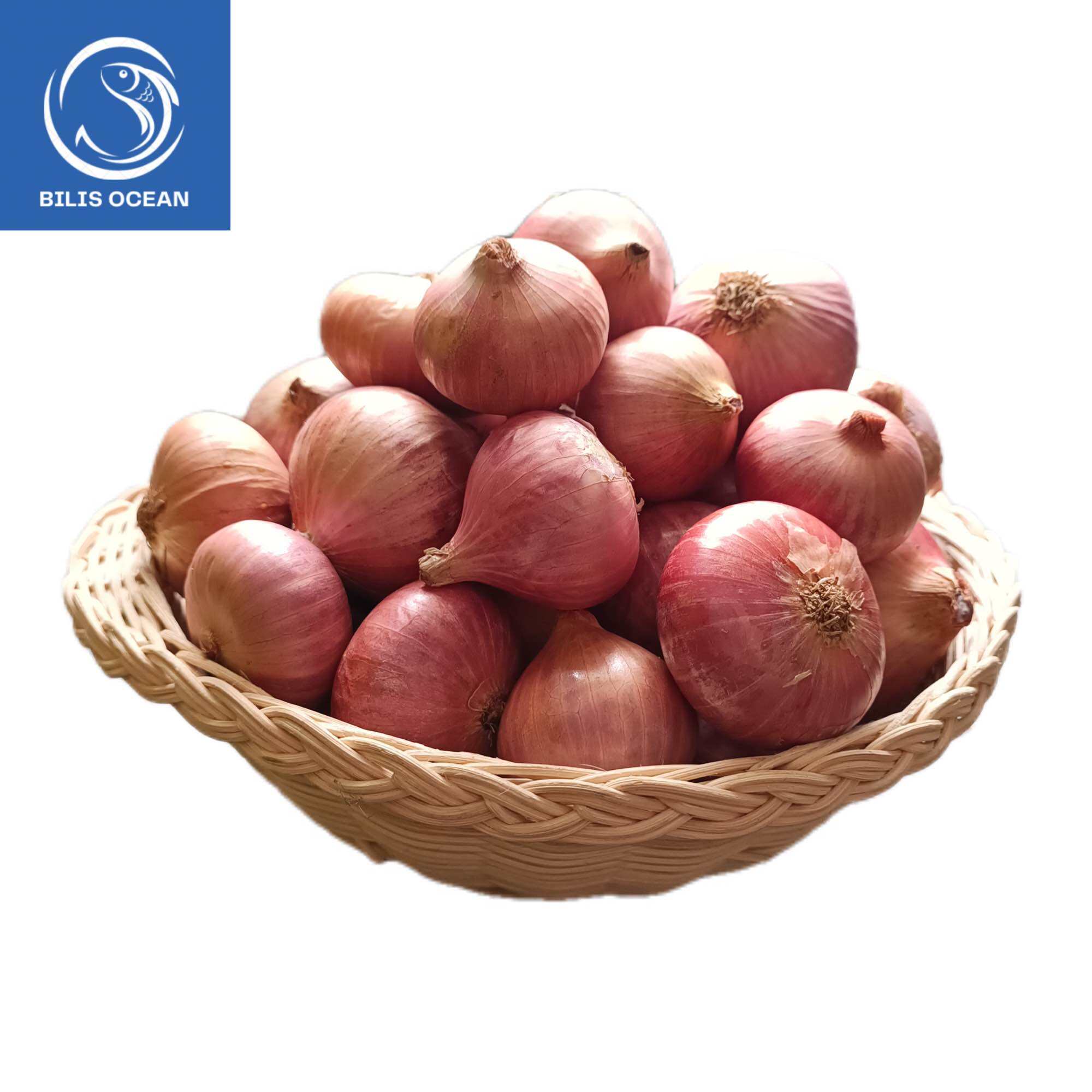 Bawang Besar India / 100% Original Bawang Besar India | Lazada