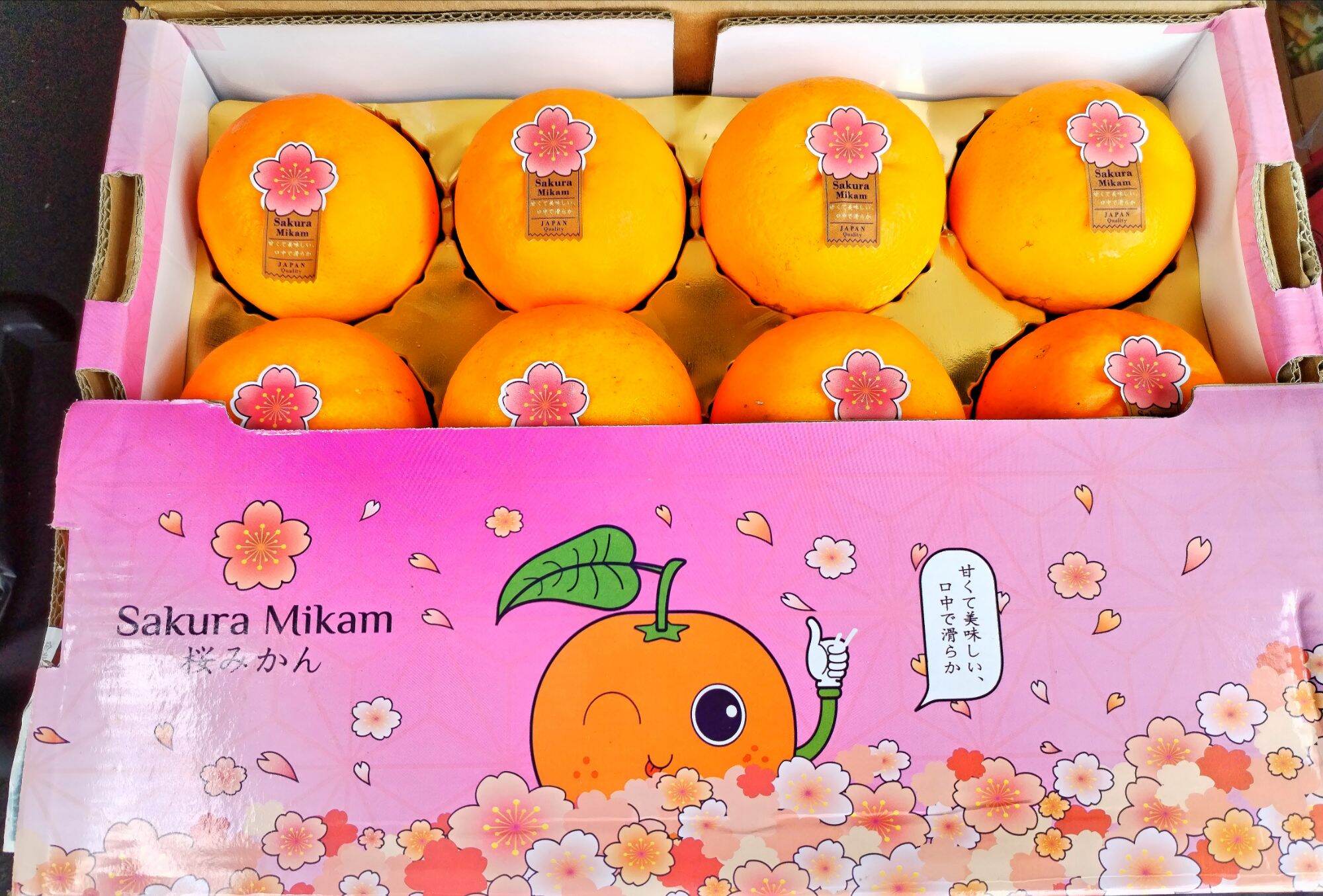 [CNY PREMIUM MIKAM] Viral TopSeller Mandarin Orange - Japan Quality ...