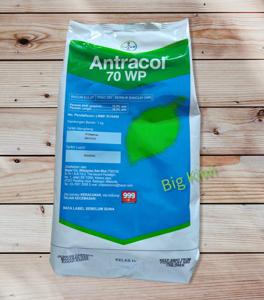 Bayer Antracol 70 WP - Racun kulat fungicide | Lazada