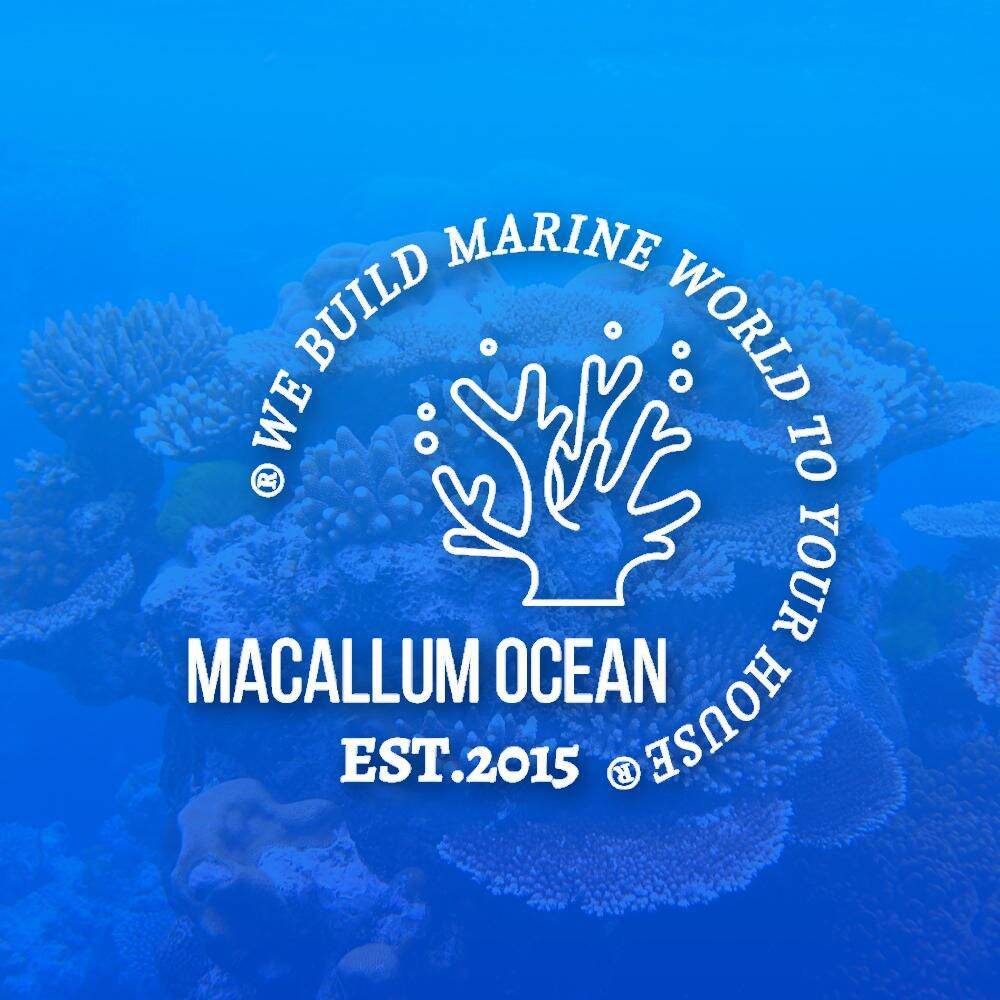 Shop online with Macallum Ocean now! Visit Macallum Ocean on Lazada.