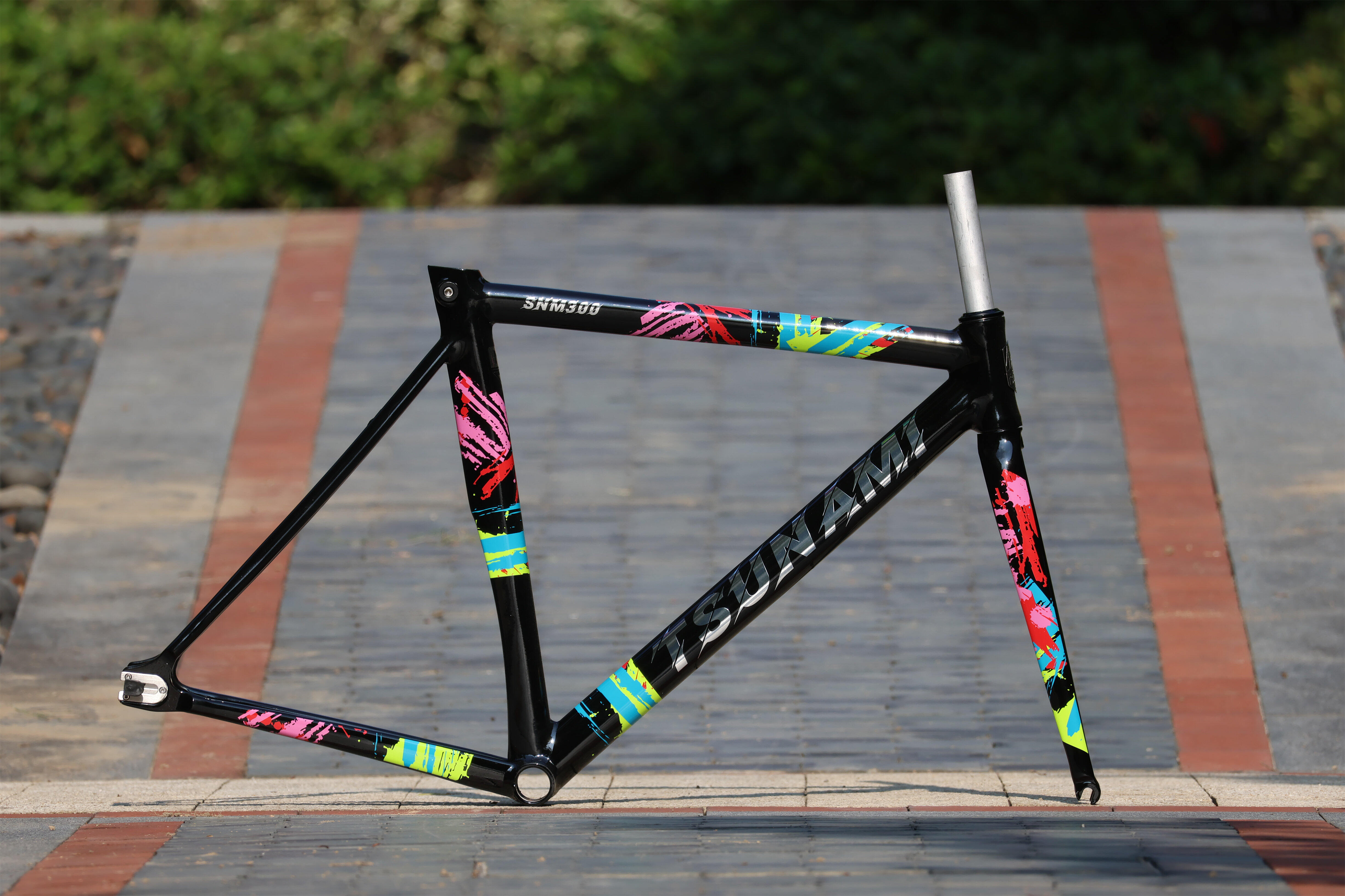 Tsunami SNM-300 Road Bicycle Frame Set Speed No Brake Can Ride Backward ...