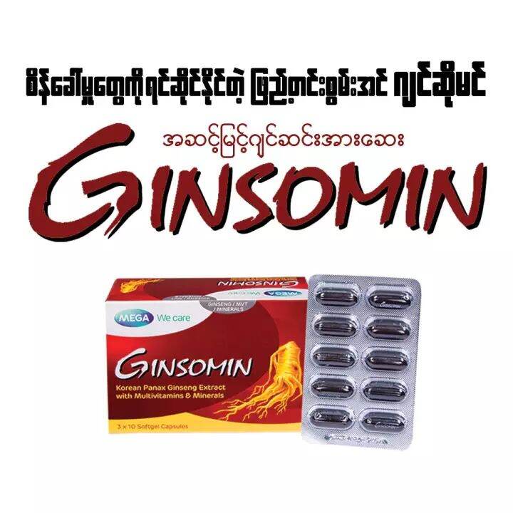 GINSOMIN MULTIVITAMIN 30S | Lazada