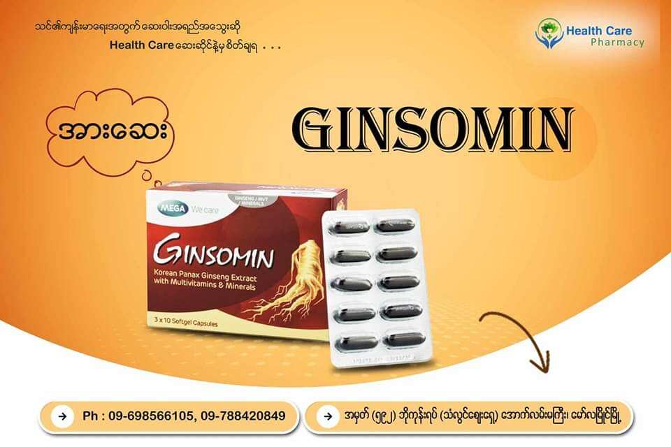 GINSOMIN Korean Panax Ginseng Extract with multivitamins & minerals ...