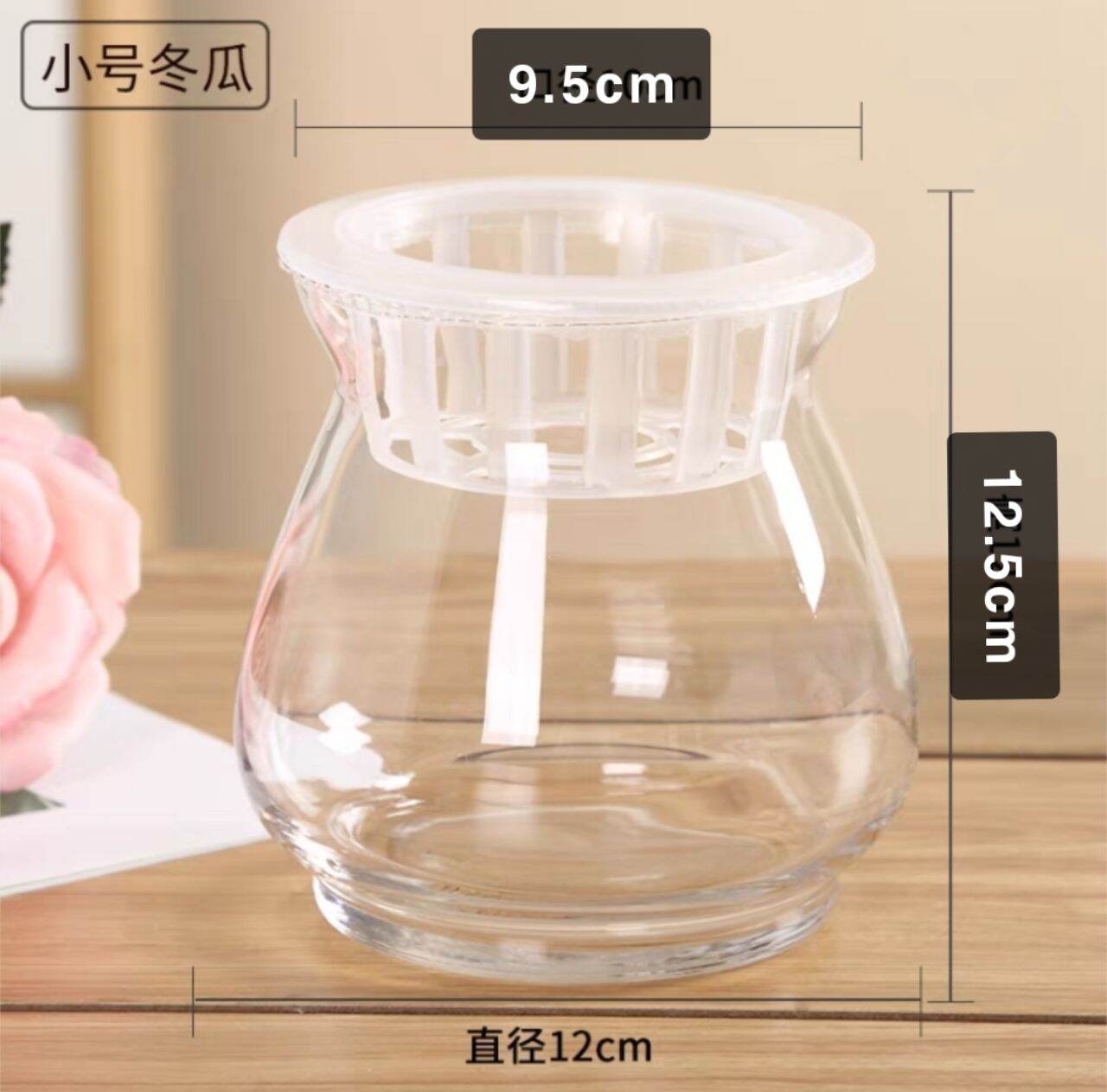 Pasu Bunga Plastik 🇲🇾 Auto Siram / Transparent Plastic Planter Pot ...