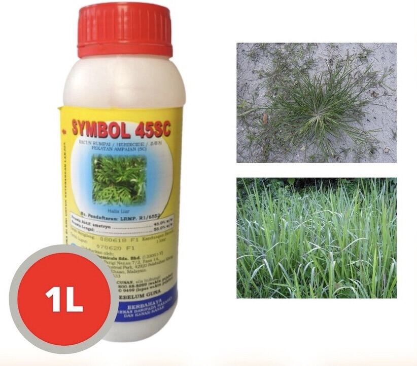 1L Symbol 45SC or Equivalent Racun Rumput Sambau Darat / Racun Jenis ...