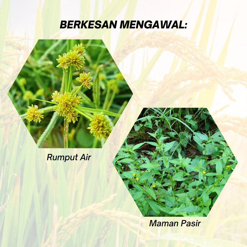 NU-40K Herbicide 1 Liter 4 Liter Racun Rumput Padi Racun Rumpai Dalam ...