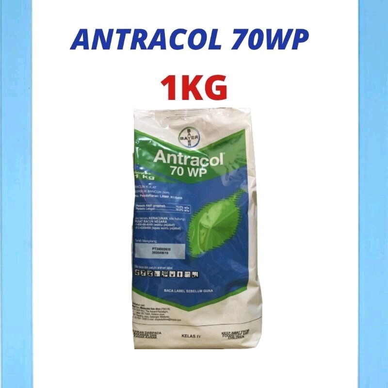 Antracol 70wp 1kg Racun Kulat ANTRAKNOS Sawi Cili Durian | Lazada