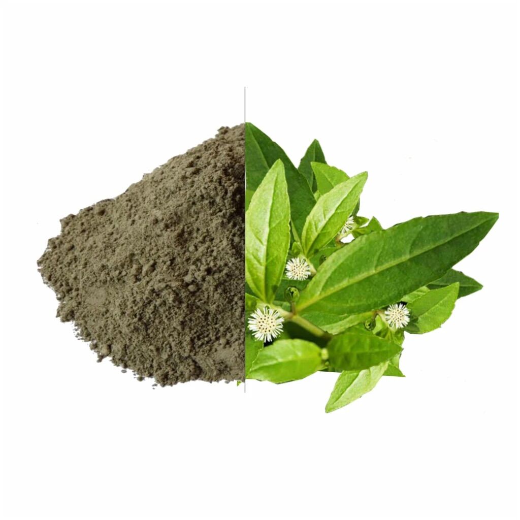 Karisalankanni Powder or Bringraj powder Karisalankanni powder | Lazada