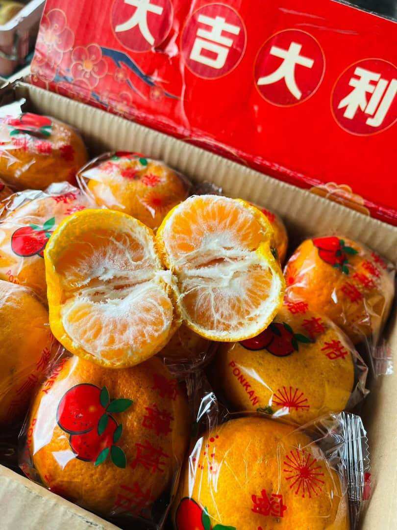 China Lokam Mandarin Orange 中国芦柑 (M-XL size) | Lazada